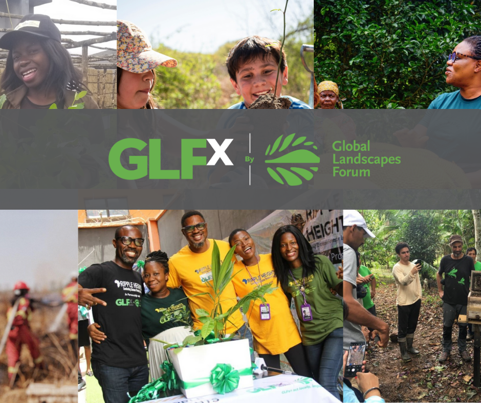 2025 call for local organizations to join GLFx | WildHub